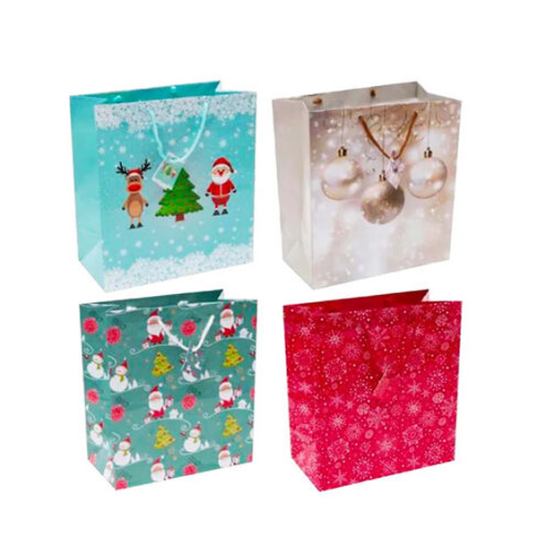 Assorted Paper Bag (Small) | OfficeWorks.ph